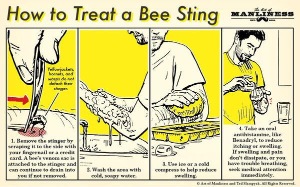 How to Treat a Bee Sting | MyMedic – My Medic